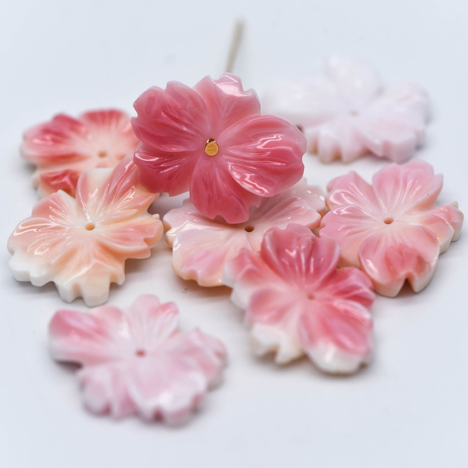5pcs Pink Queen Conch Shell Flower Carved Cabochon 25mm - Etsy