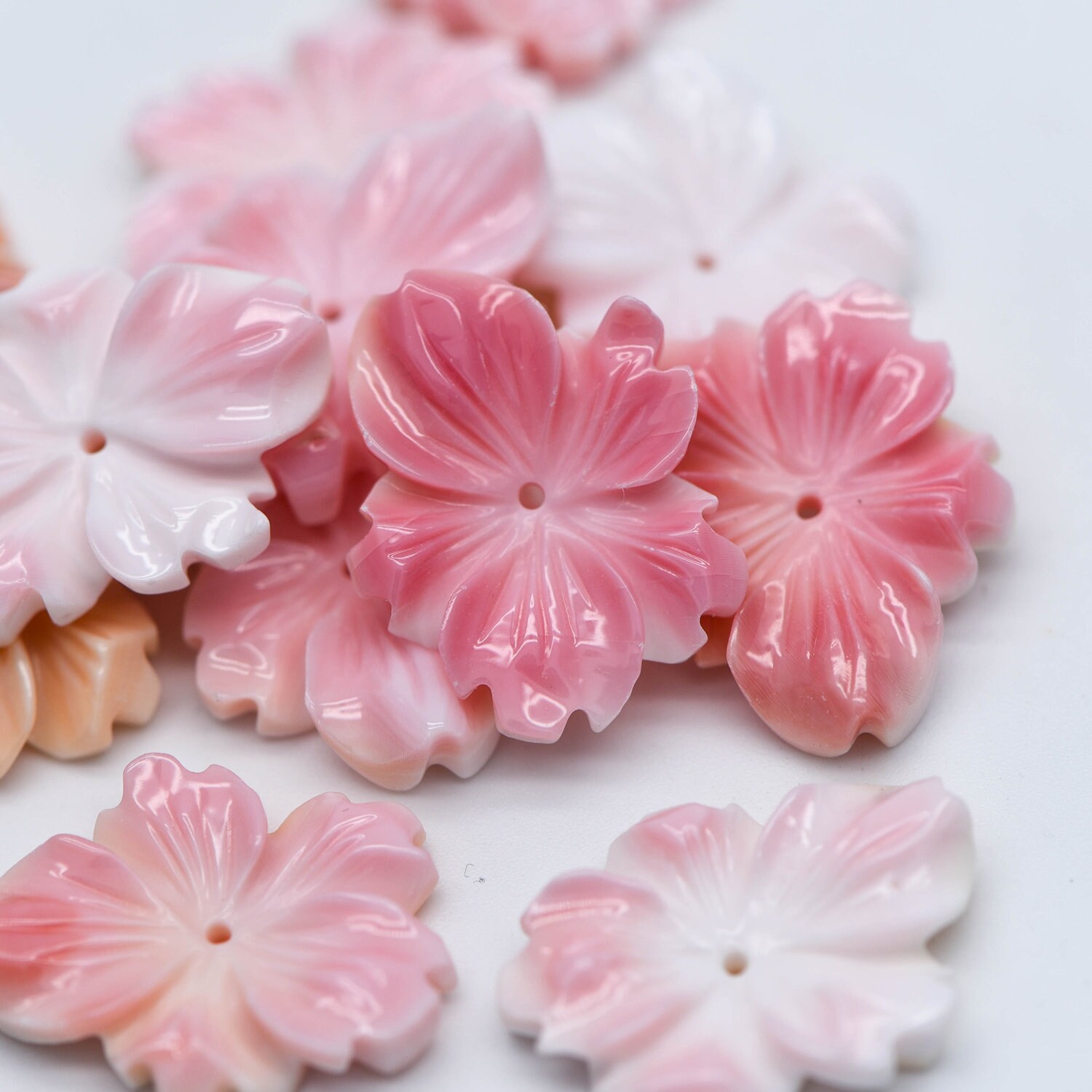 5pcs Pink Queen Conch Shell Flower Carved Cabochon 25mm - Etsy