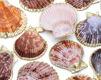 Mussel Shell Charms Seashell Earrings and Pendant Gold Tone Plated ...