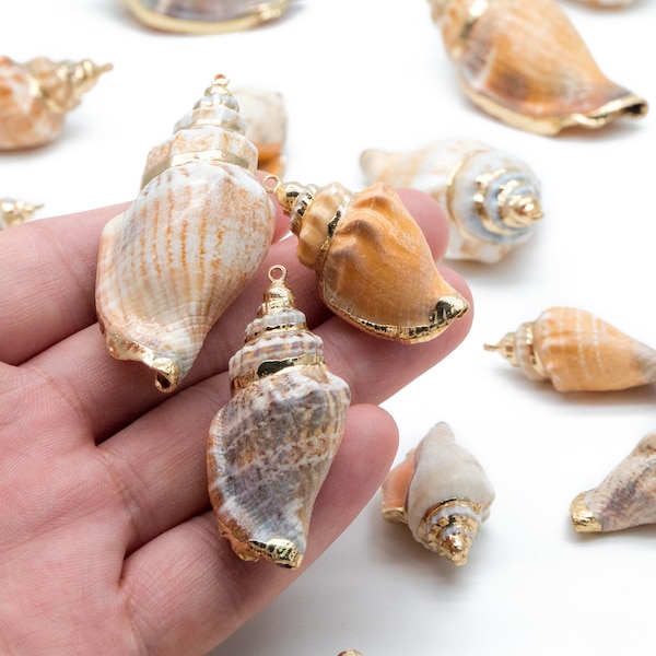 Seashell Charms - Etsy