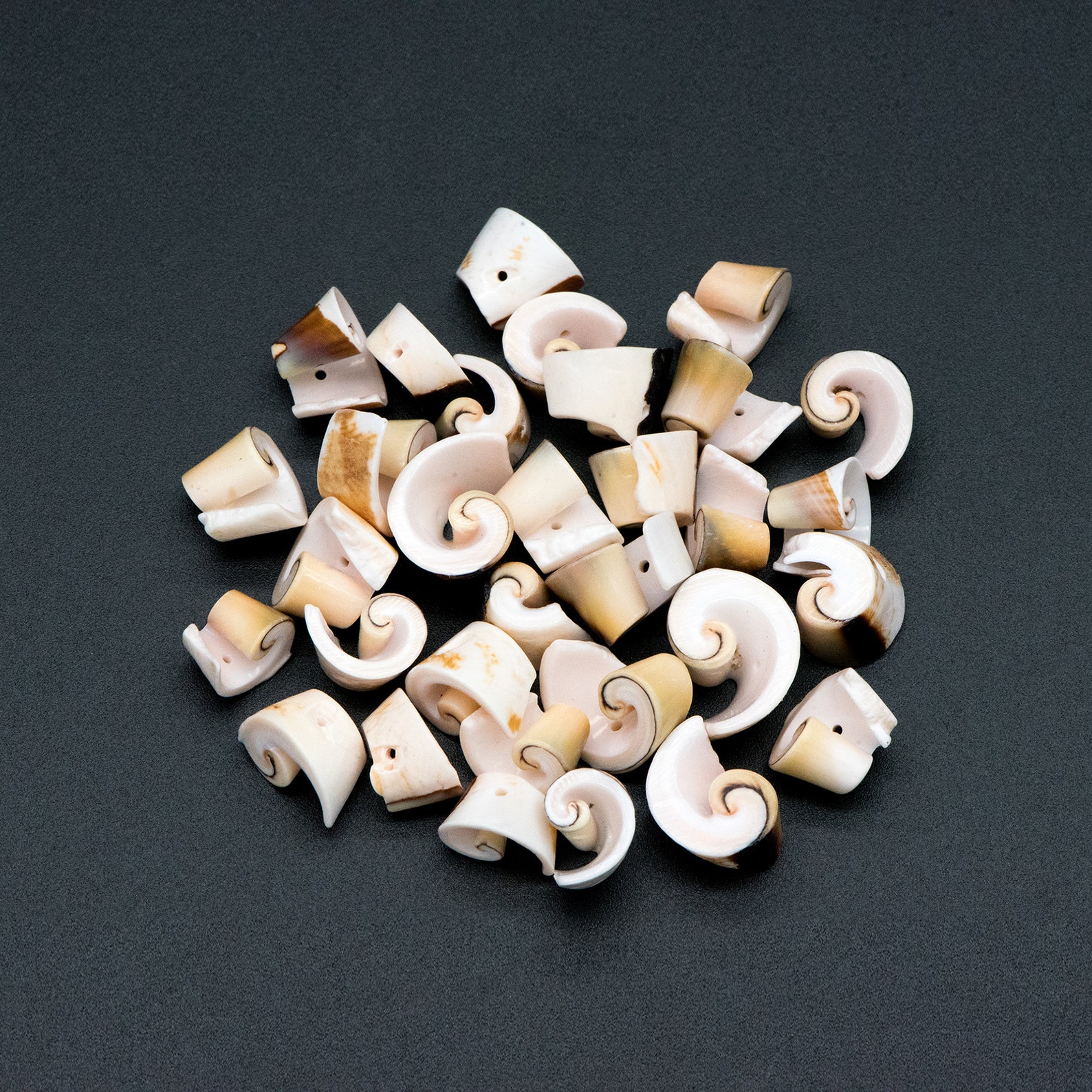 Natural Shell Beads Irregular Shell Pendants Sea/ Beach | Etsy