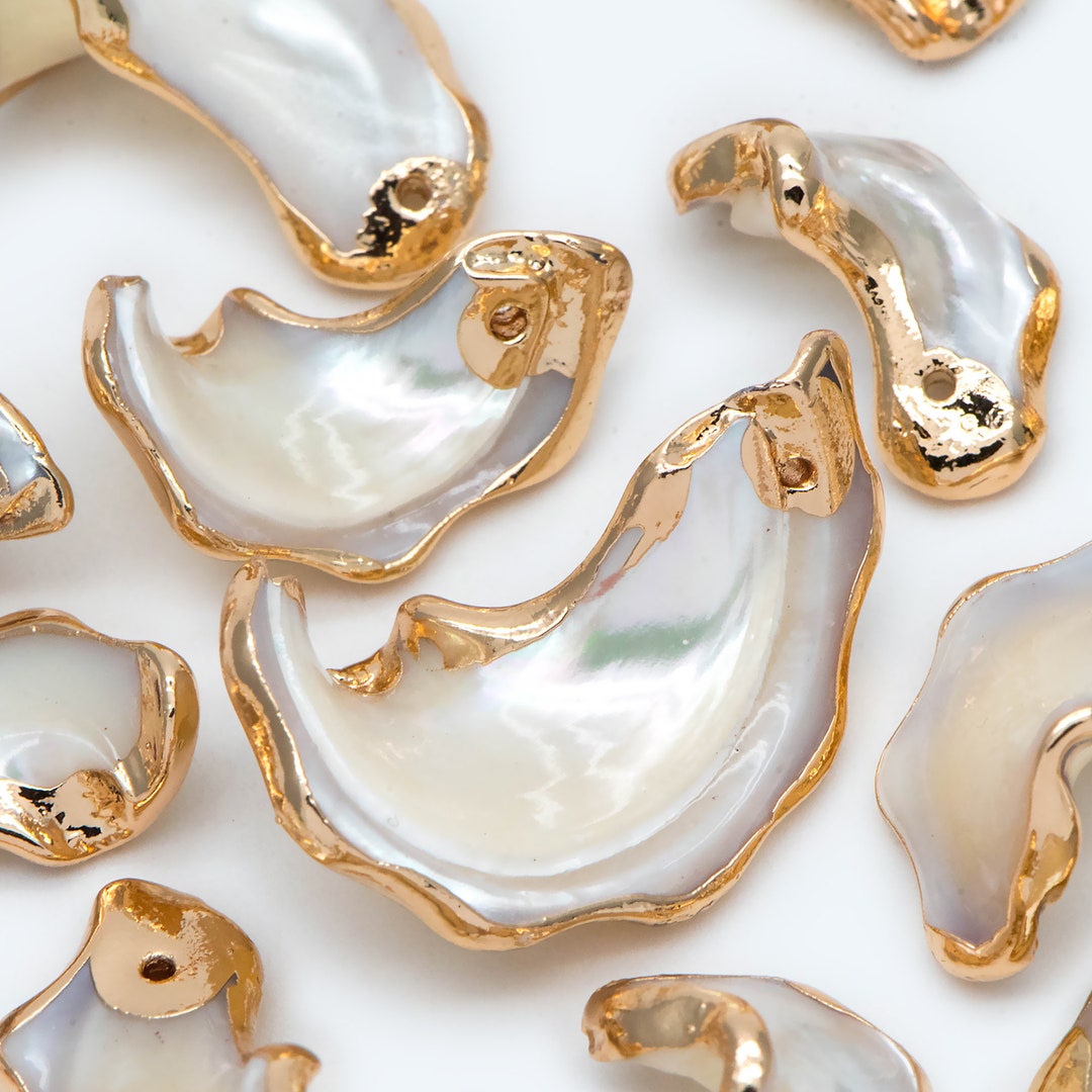 10pcs Natural Shell Charms, Gold Plated Shell Pendants, Natural Unique ...