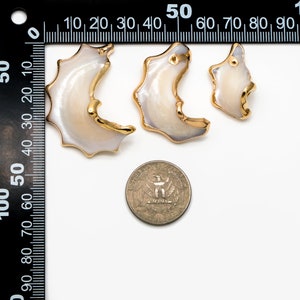 10pcs Natural Shell Charms, Gold Plated Shell Pendants, Natural Unique ...