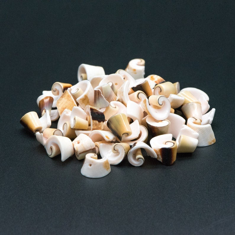 Natural Shell Beads Irregular Shell Pendants Sea/ Beach - Etsy