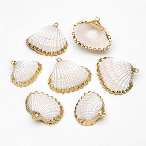 10pcs Natural Shell Charms, Gold Plated Shell Pendants, White/ Aqua ...