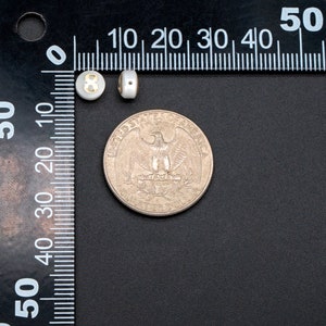 6mm Natural Shell With Gold Number Beads- Coin Puff Spacer - Double ...