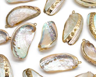 Mussel Shell Charms Seashell Earrings and Pendant Gold Tone Plated ...