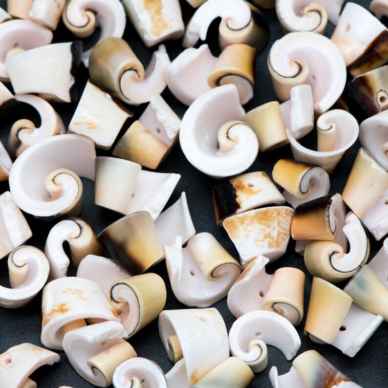 Natural Shell Beads Irregular Shell Pendants Sea/ Beach - Etsy