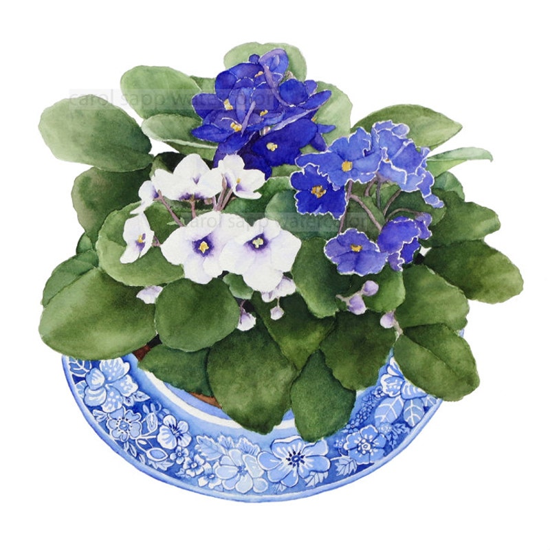 Violet Watercolor - Etsy