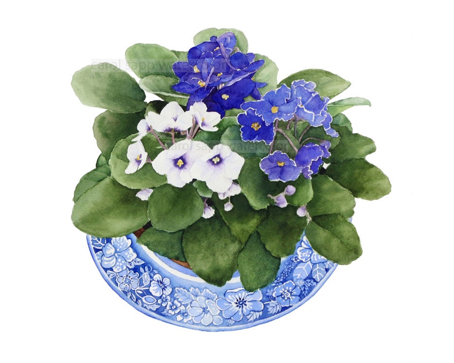 African Violet Painting