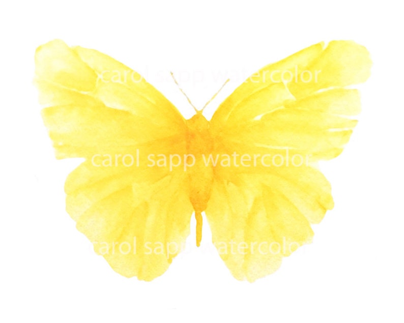 Yellow Butterfly Watercolor Archival Print of Painting - Etsy