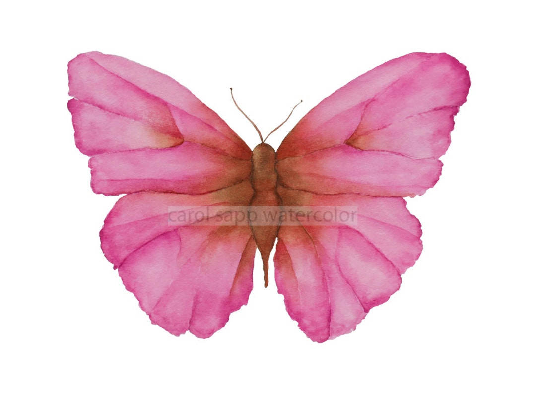 Pink Butterfly Art-pink Butterfly Watercolor-pink Butterfly Painting ...