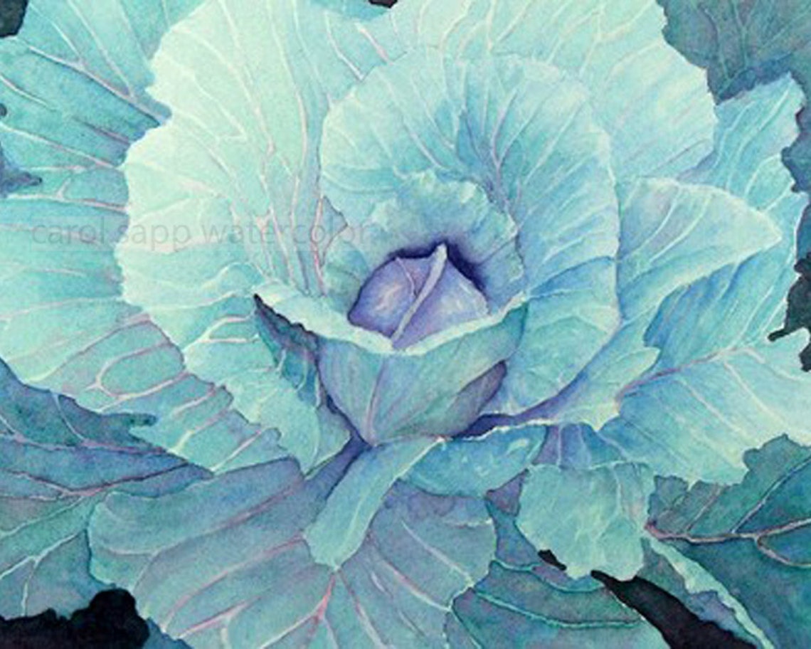 Cabbage Watercolor Painting-botanical Art-botanical Painting-kitchen ...