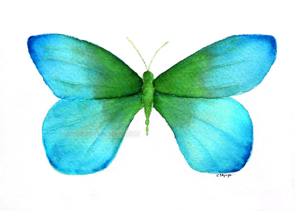 Watercolor Painting Blue Green Butterfly Archival Print - Etsy