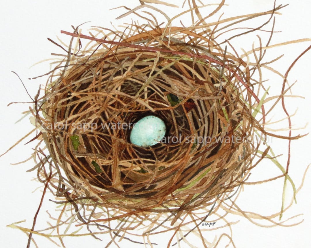 Nest Painting-nest Watercolor-bird Nest Painting-nest Art-bird Art ...
