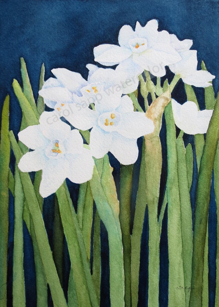 Paperwhites Watercolor-paperwhites Painting- Flower Painting-archival ...