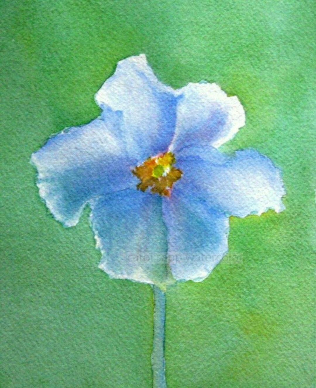 Blue Poppy Original Watercolor Painting Archival Print 5" X 7" - Etsy