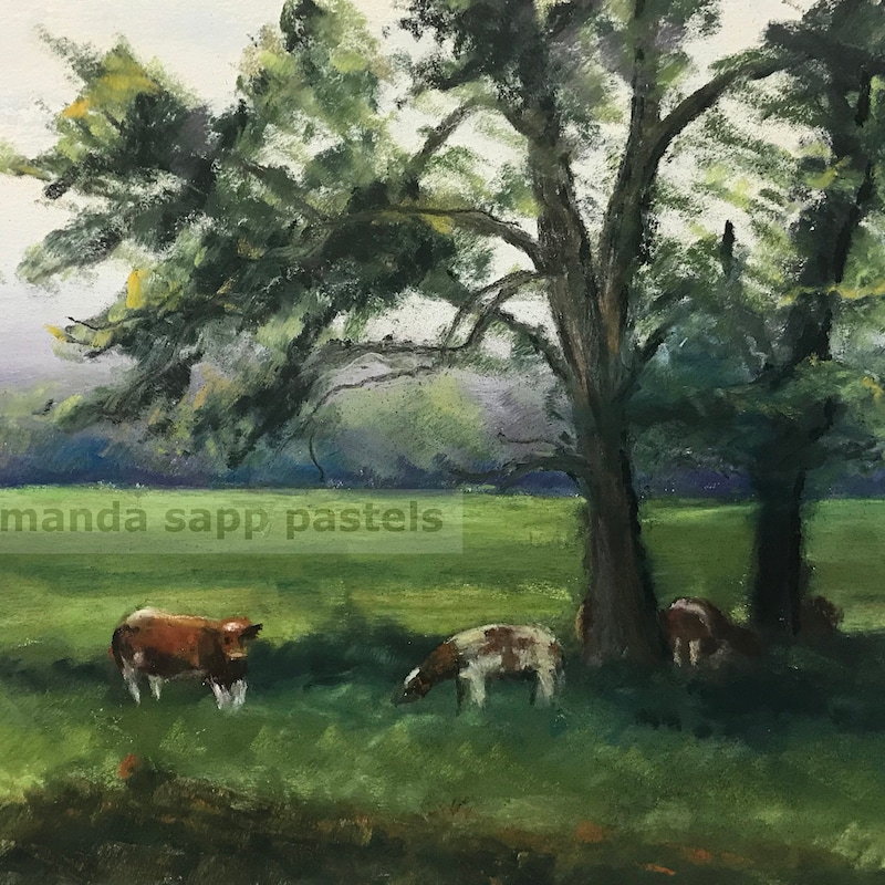 Pasture Scenes - Etsy