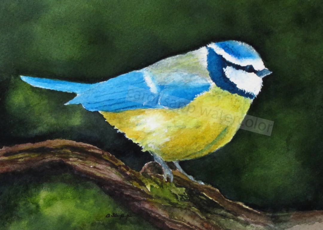 Songbird Watercolor-bird Watercolor-bird Painting-bird Art-carol Sapp ...
