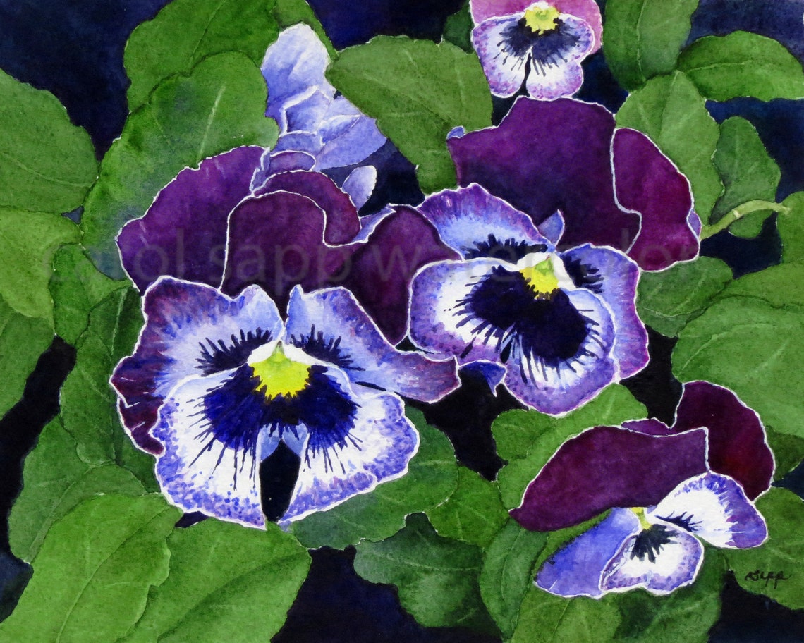 Pansies Art-print of Original Watercolor Painting-pansy - Etsy