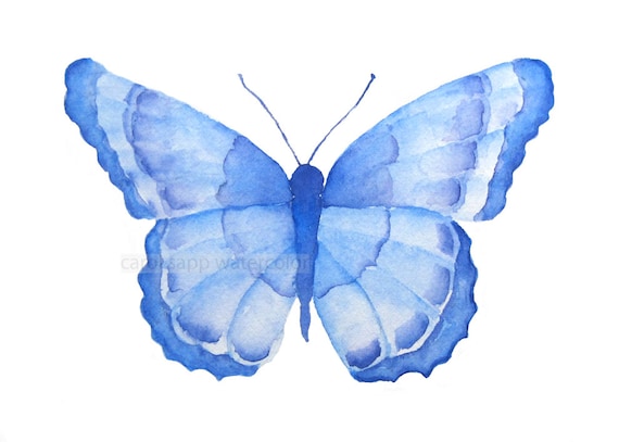 Mariposa Acuarela Azul Mariposa Azul Acuarela Delicado Scrapbooking