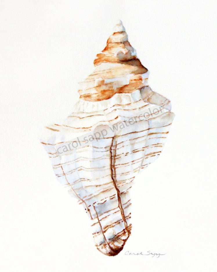 Sea Shell Watercolor-shell Painting-beach Decor-beach House-ocean-beach ...
