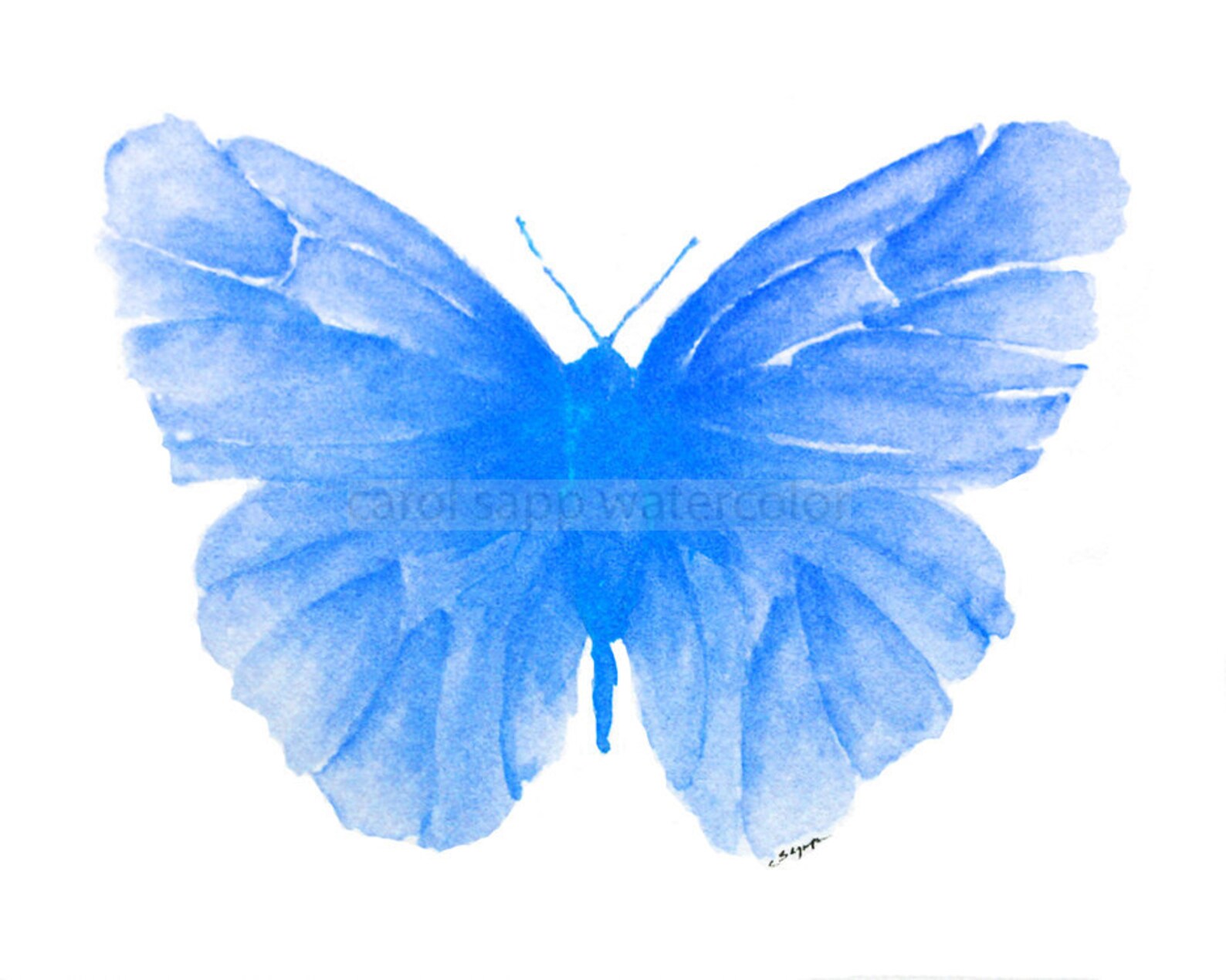 Blue Butterfly Watercolor Archival Print - Etsy
