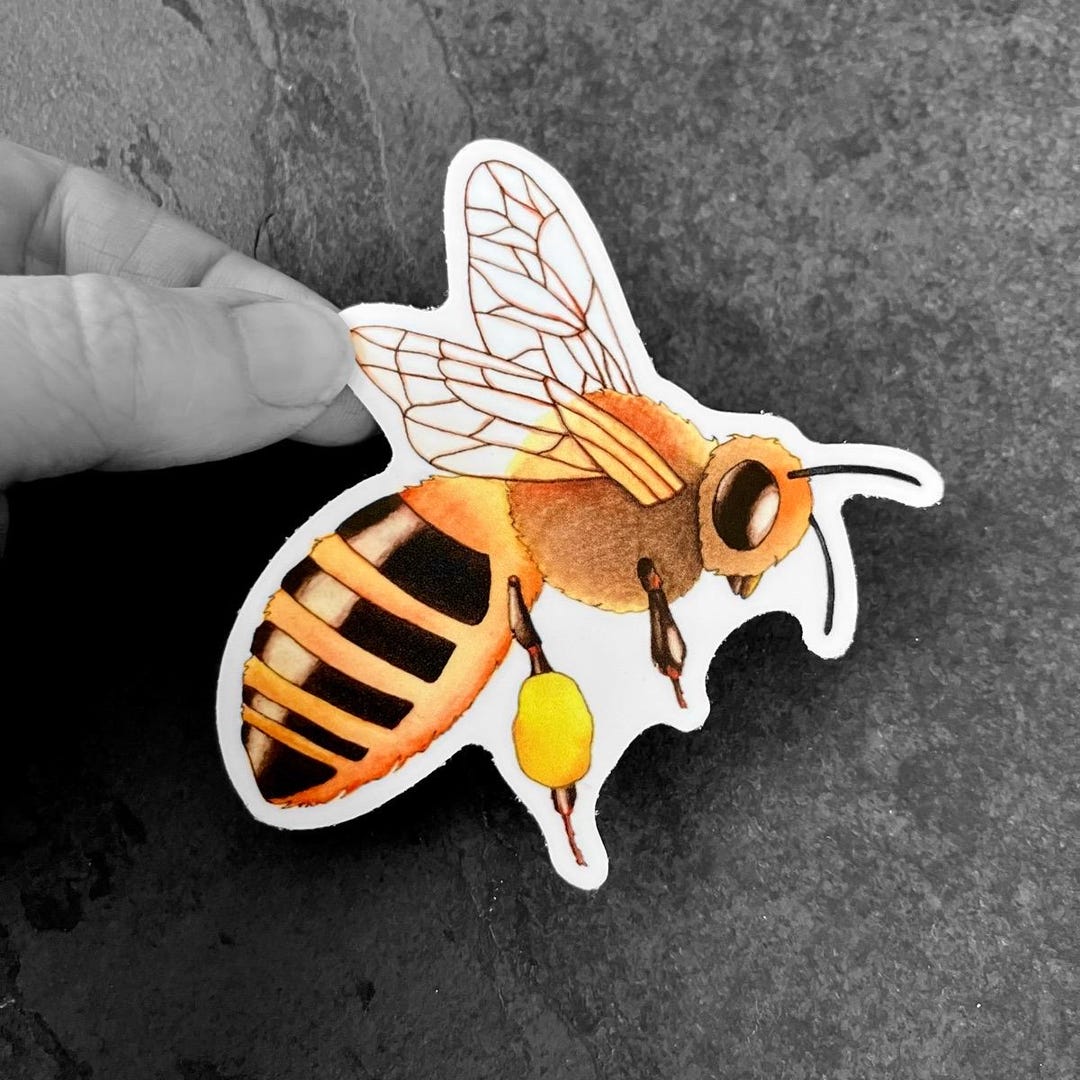 Honey Bee Apis Mellifera Sticker Honey ᏩᏚᎵᏏ Wadulisi Bee Apis Mellifera ...