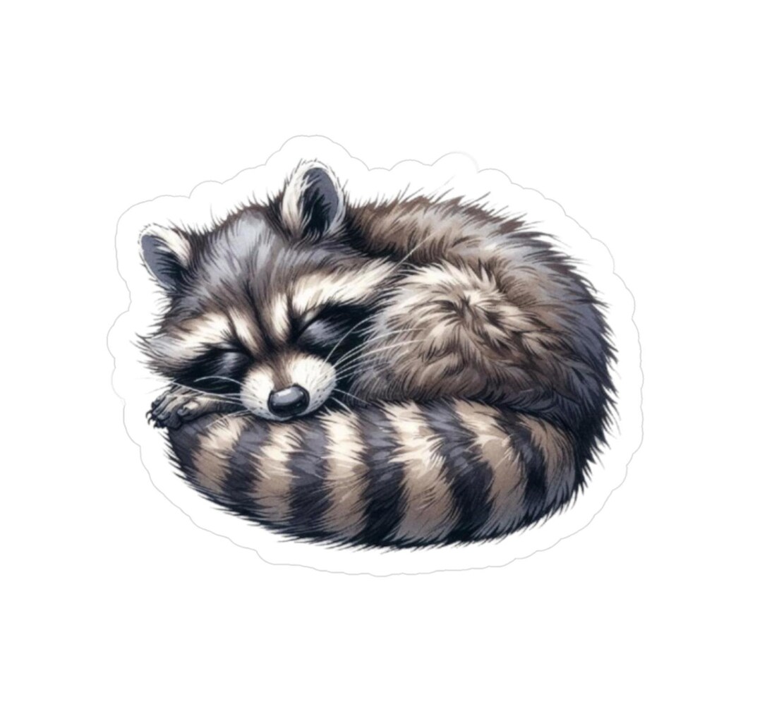 Sleeping Raccon Vinyl Decal, Cute Animal Laptop Decal, Nature Vinyl ...