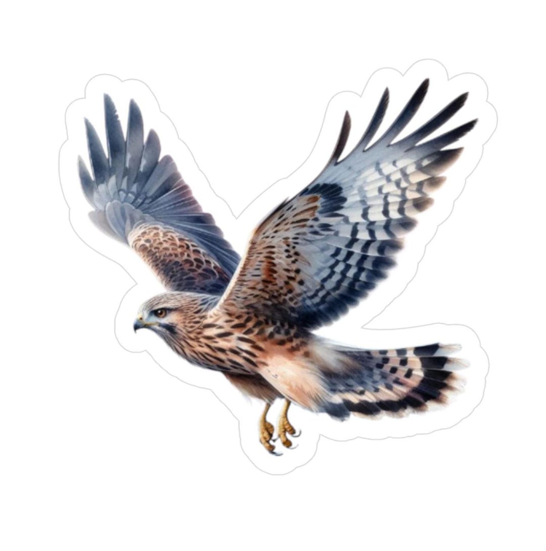 Northern Harrier Bird Decal, Vinyl Sticker, Laptop Decal, Nature Lover ...