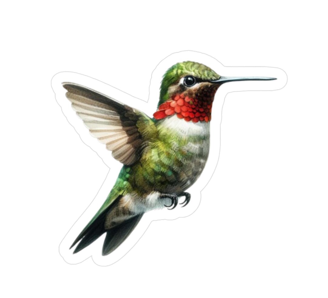 Ruby-throated Hummingbird Vinyl Sticker/decal Nature and Bird Lover for ...