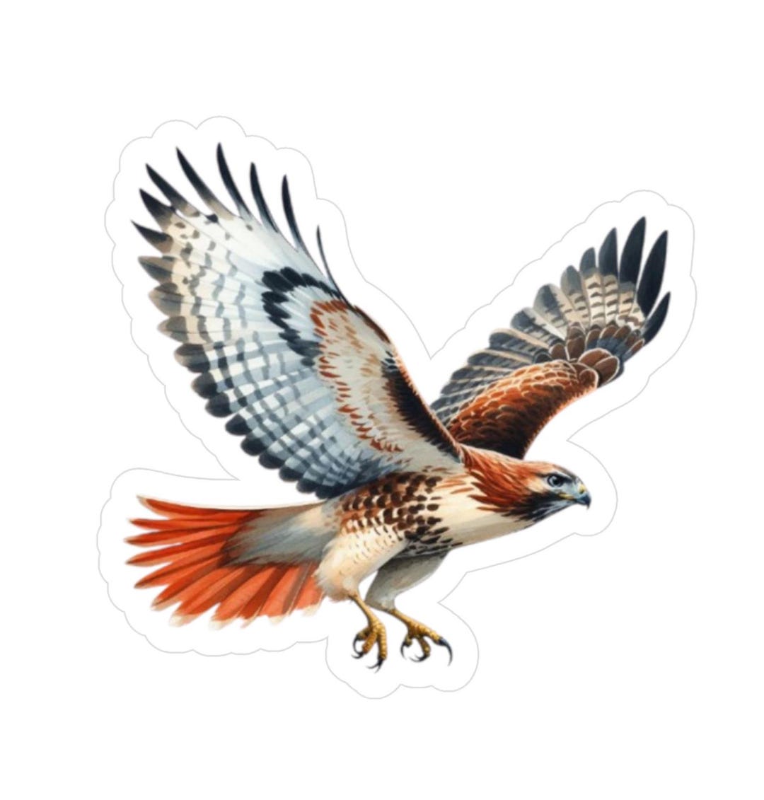 Red-tailed Hawk Vinyl Decal: Nature Lover Sticker - Etsy