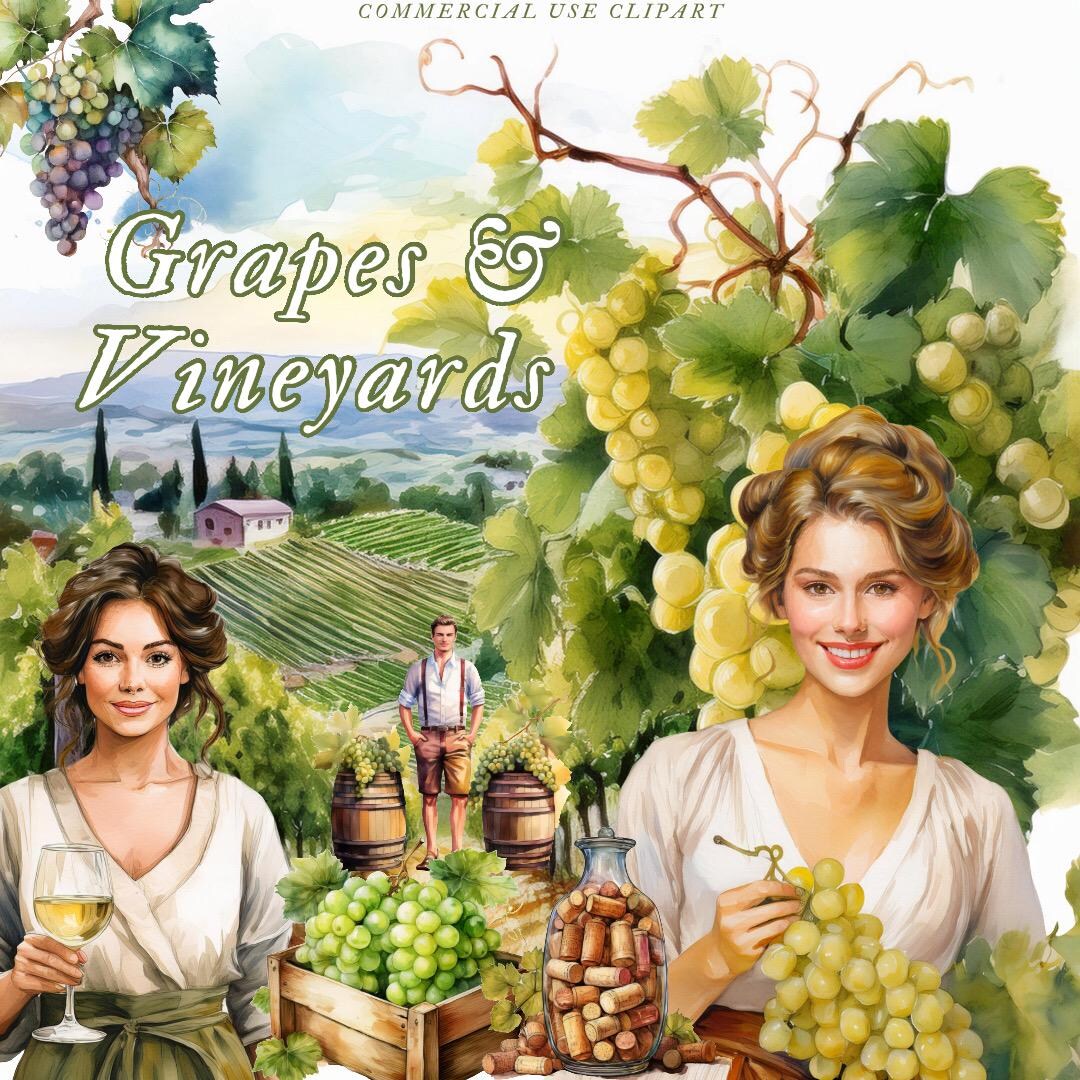 40 PNG Watercolor Grapes & Vineyard Clipart Wine, Winery, Grape Harvest ...