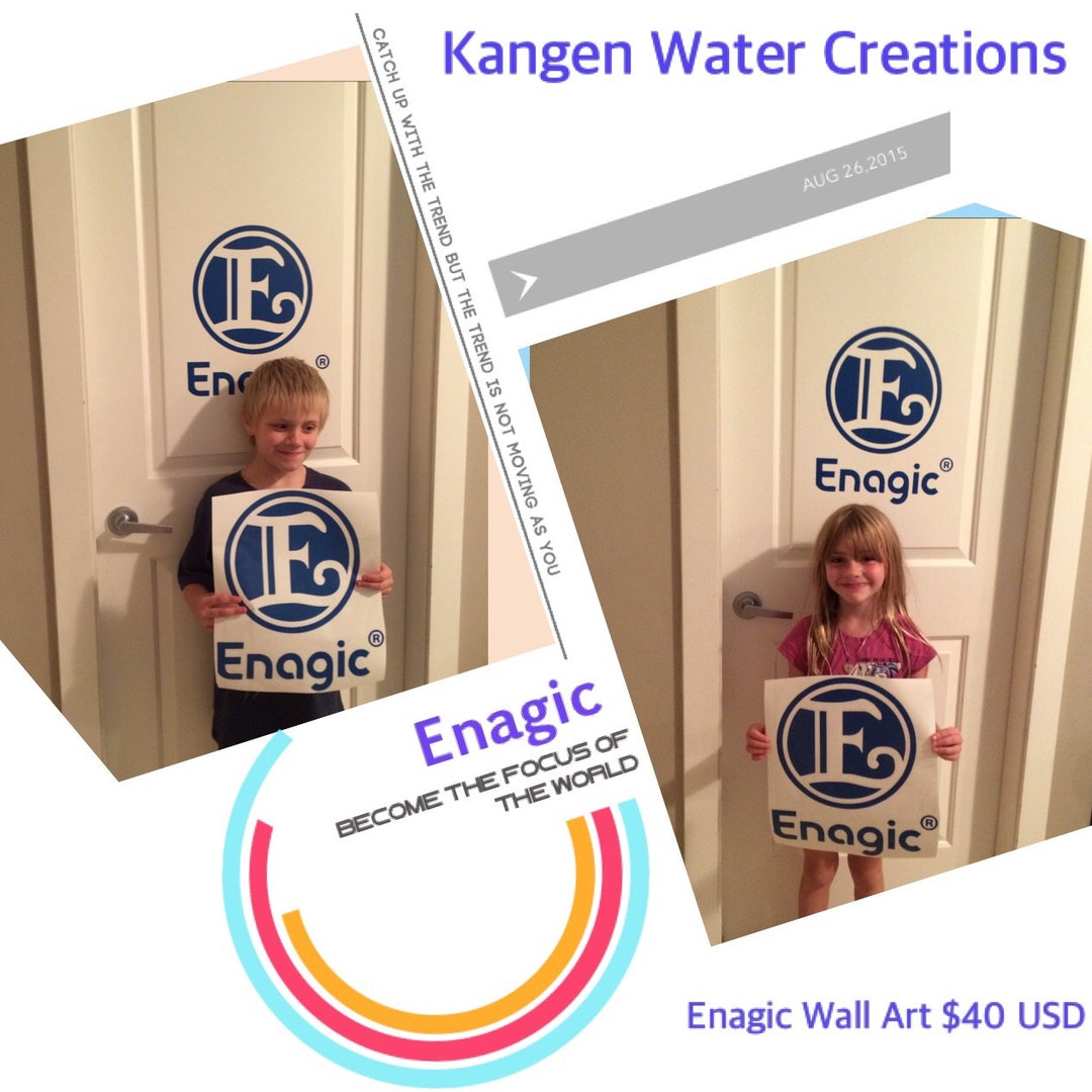 Enagic Logo Wall Art to Use on Dry Wall in Your Office - Etsy