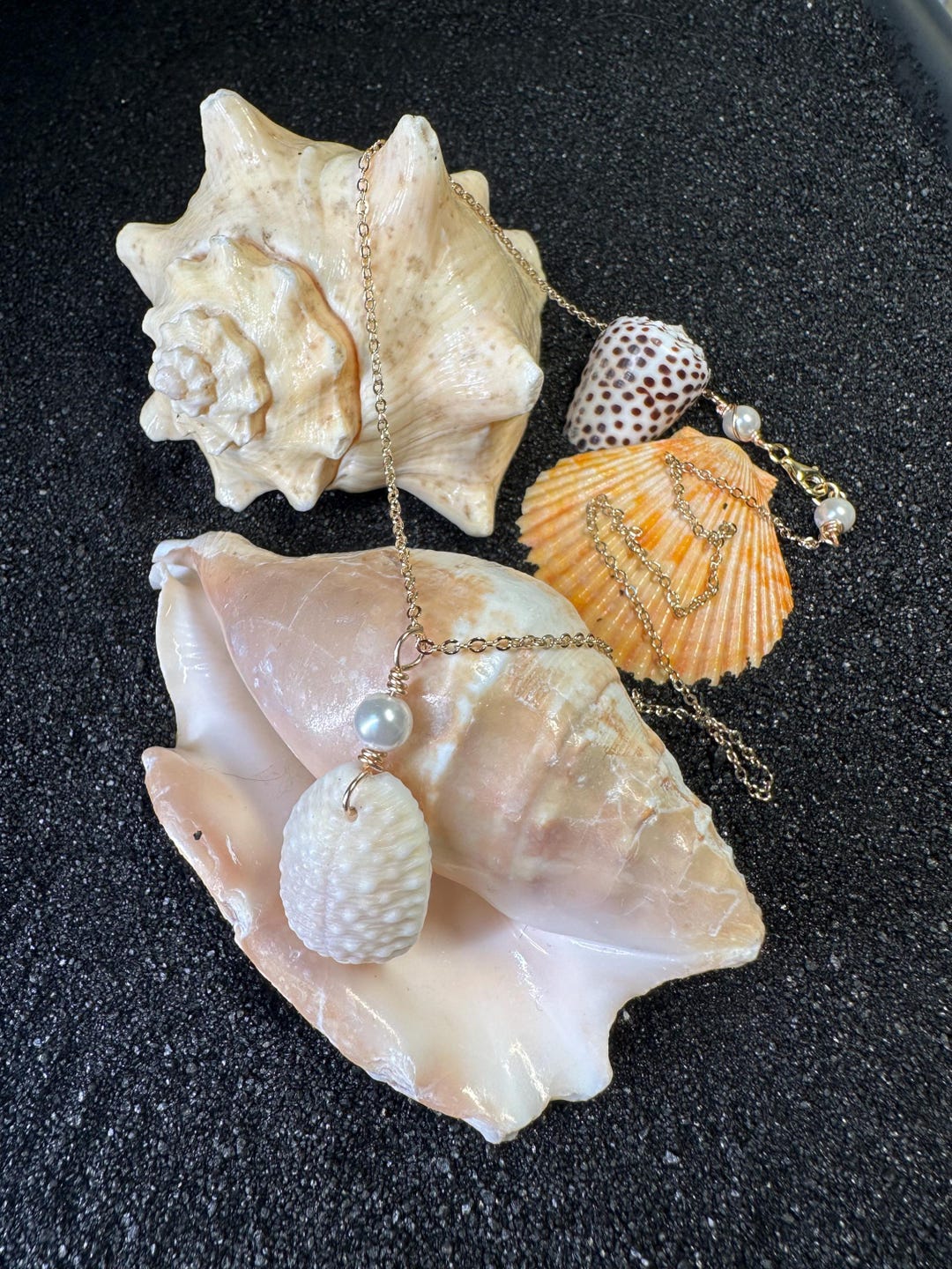 Rare Cowry Shell From the Island of Maui, 18k Gold Filled Chain, With ...