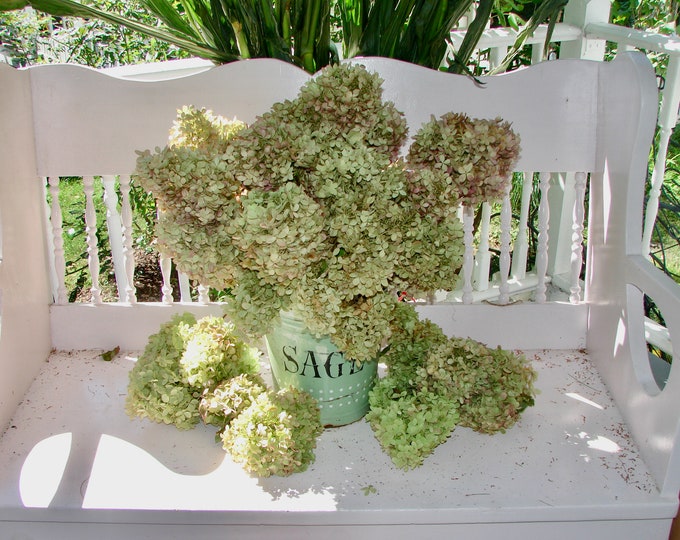 ONE LEFT 12 Dried Limelight Hydrangea From New England, Combo of Medium ...
