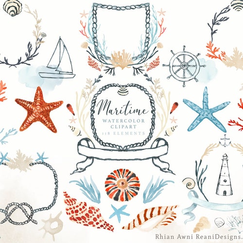Watercolor Nautical Clip Art Seashells Ink Line Art - Etsy