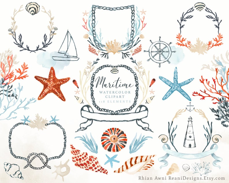 Watercolor Nautical Clip Art Seashells Ink Line Art - Etsy