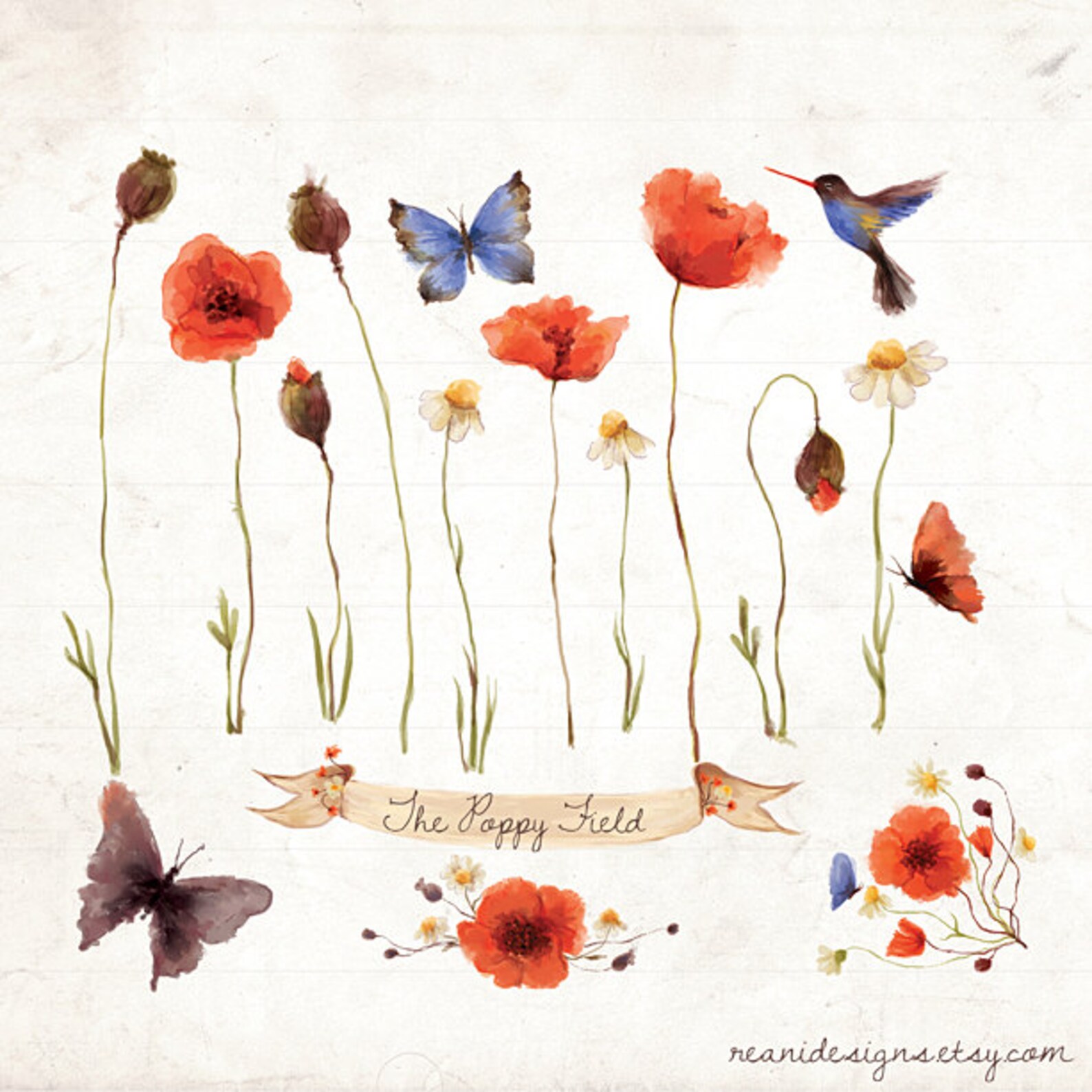 Watercolor Poppy Flower Clip Art Clipart Set Field Humming - Etsy