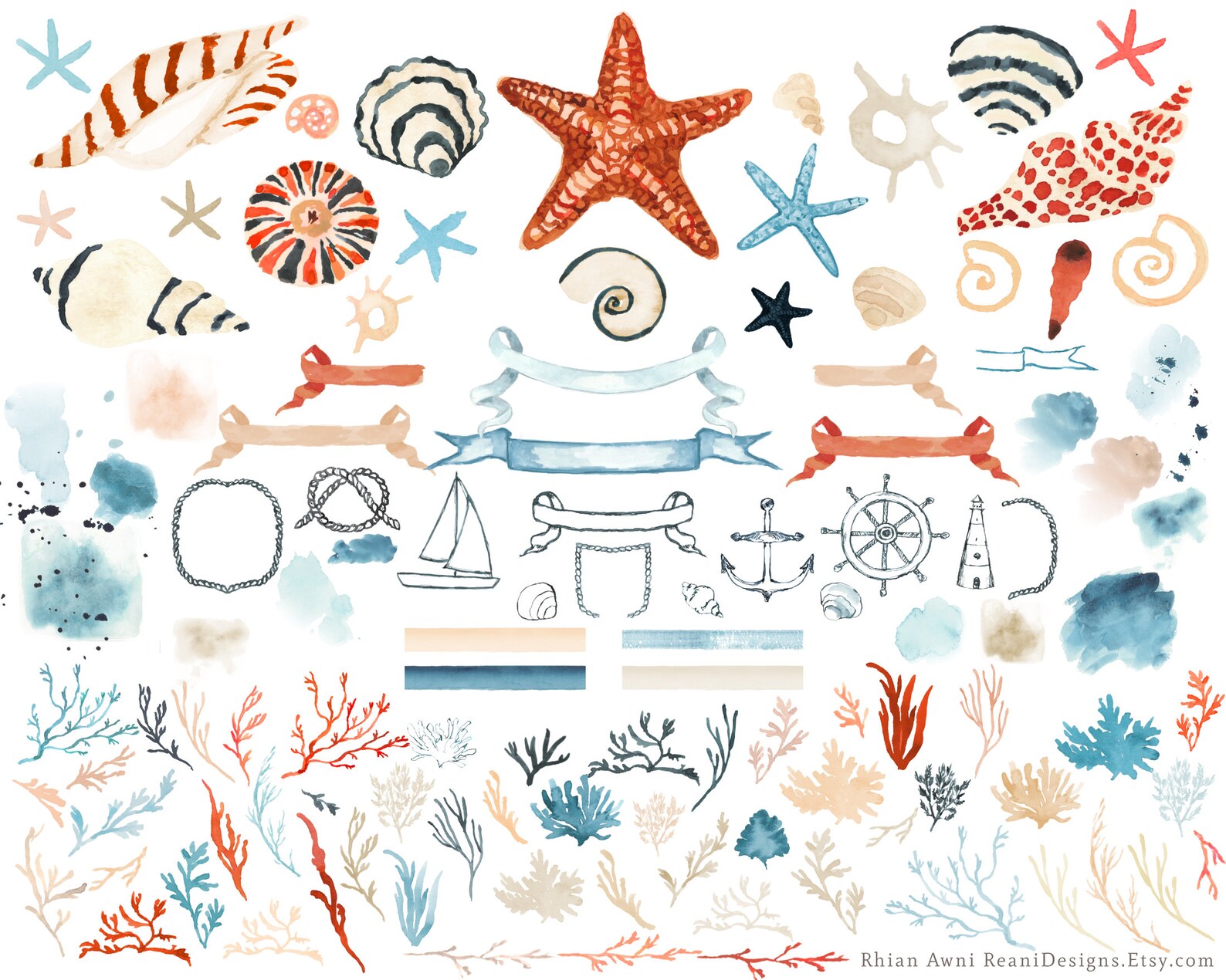 Watercolor Nautical Clip Art Seashells Ink Line Art - Etsy