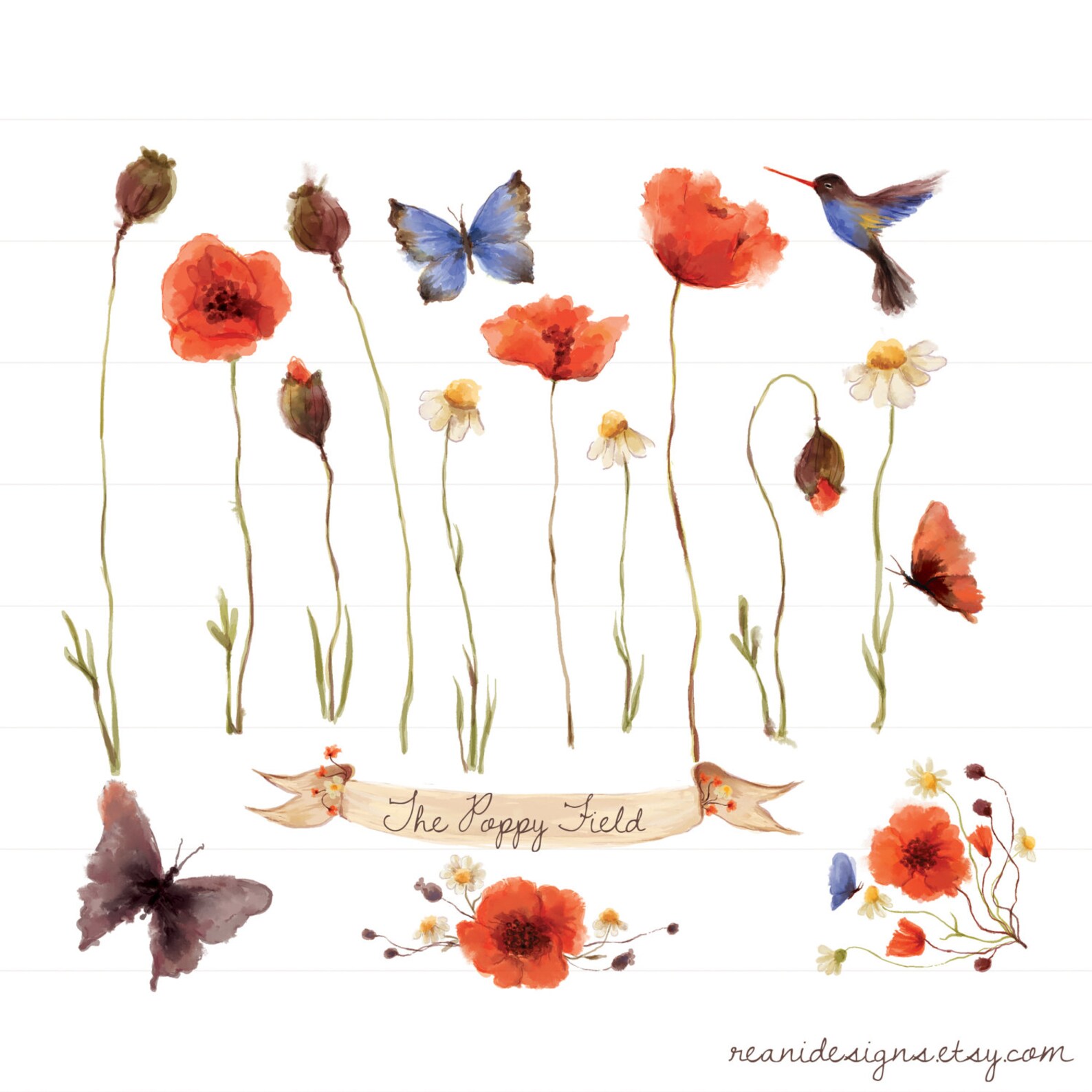 Watercolor Poppy Flower Clip Art Clipart Set Field Humming - Etsy