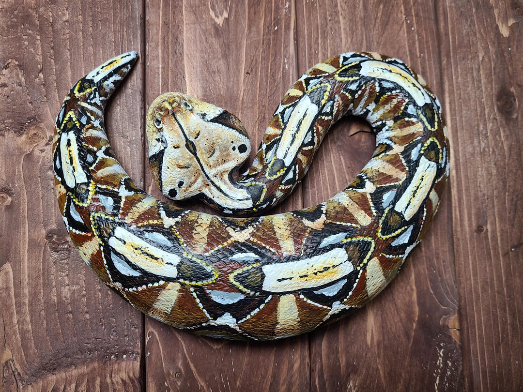 Gaboon Viper *poses May Vary* - Etsy