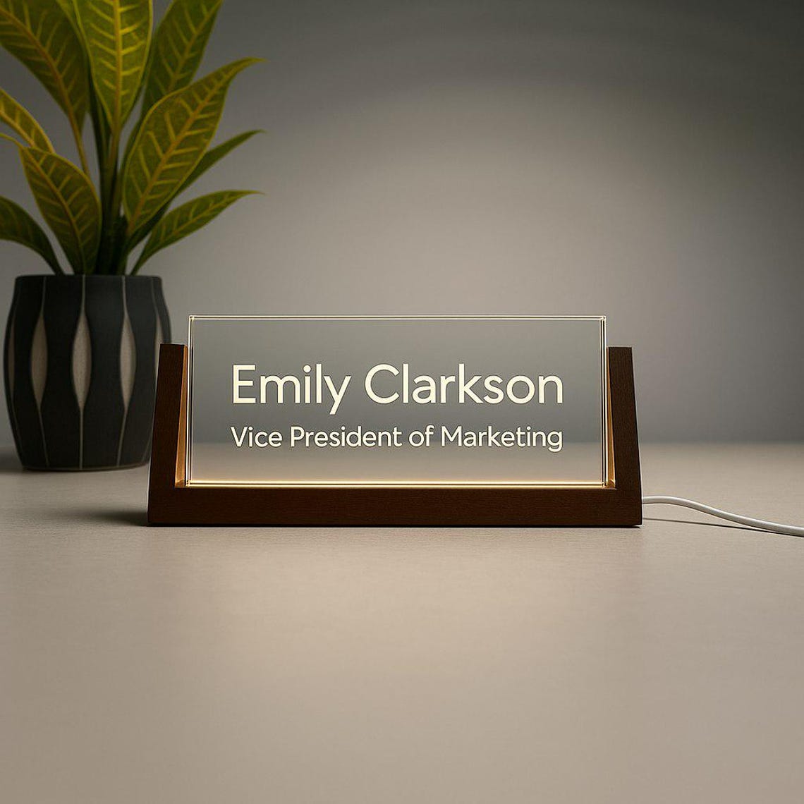 Custom Software Engineer Desk Name Plate Personalized Gift With Laser ...