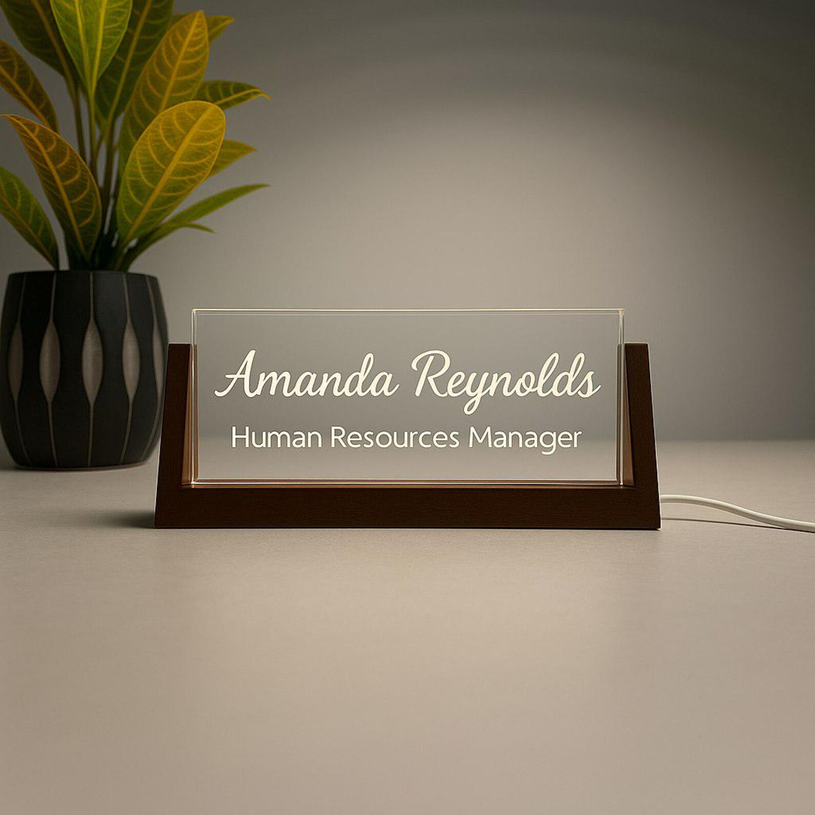 Custom Software Engineer Desk Name Plate Personalized Gift With Laser ...