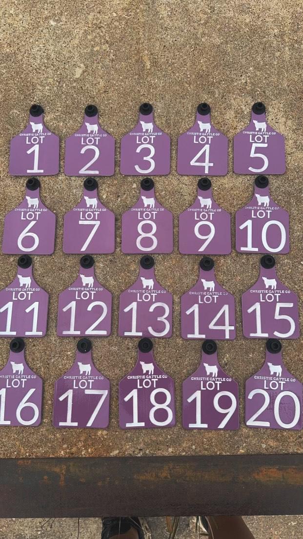 Custom Laser Engraved Ritchey Ear Tags - Etsy