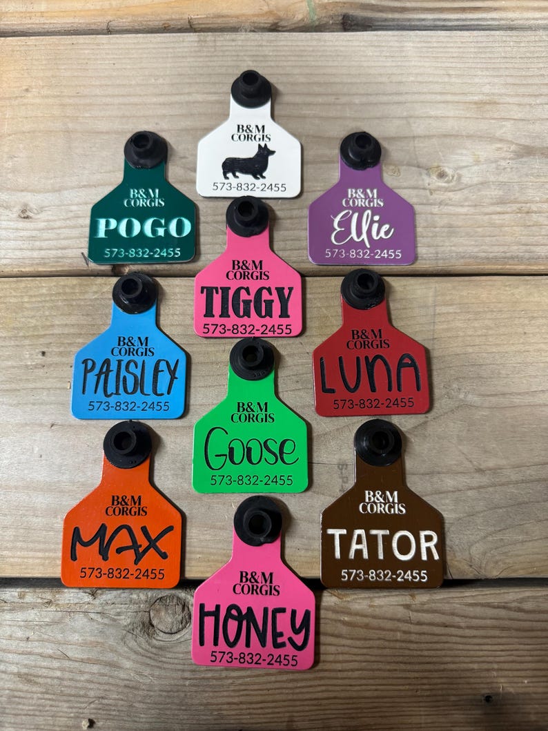 Custom Laser Engraved Ritchey Ear Tags - Etsy