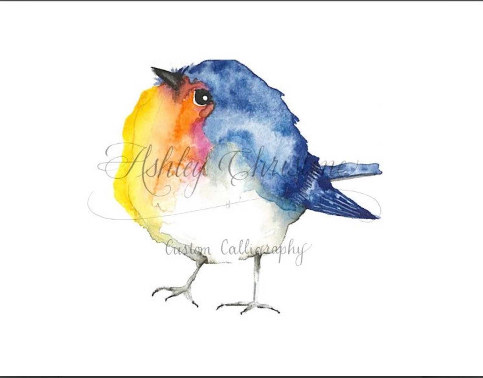 Little Robin/note Cards/boutique Notecards/blank/6 per - Etsy
