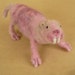 Needle Felted Animal, Needle Felted Rat, Naked Mole Rat, Posable Toy ...