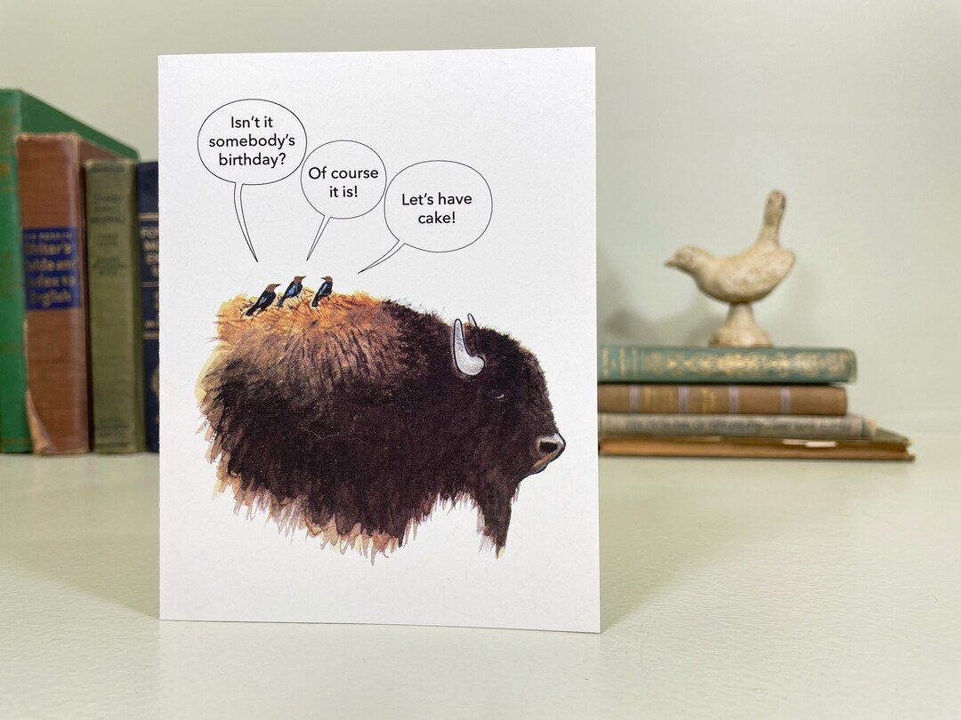 Funny Birthday Card With a Bison and Cowbirds. Office Birthday ...