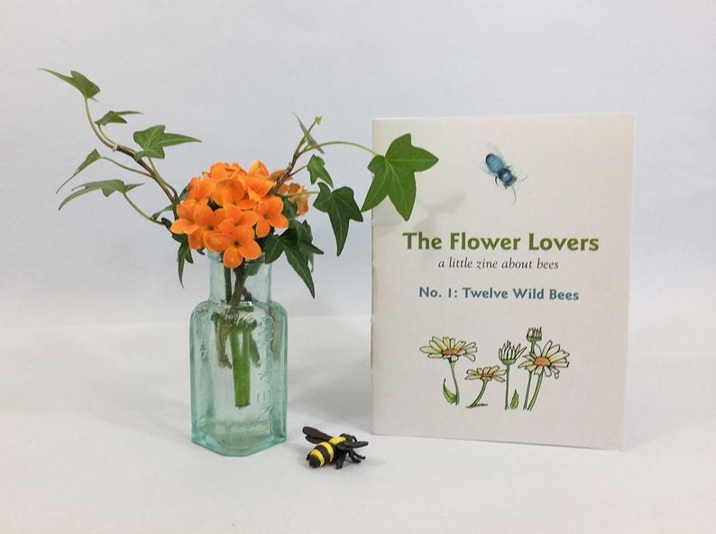 The Flower Lovers a Zine About Bees. Illustrated Zine About | Etsy
